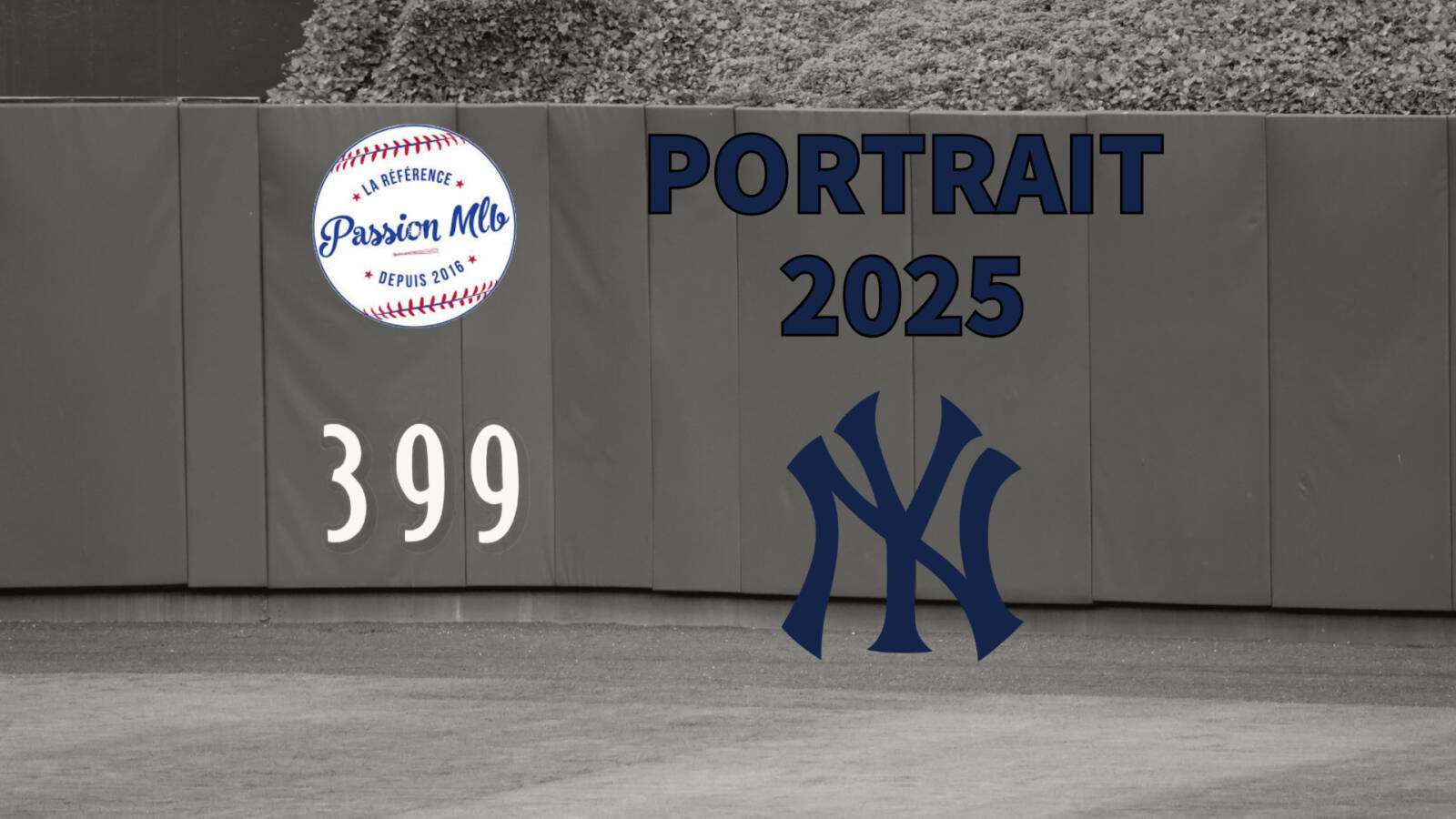 Portrait 2025 : Yankees de New York - PassionMLB