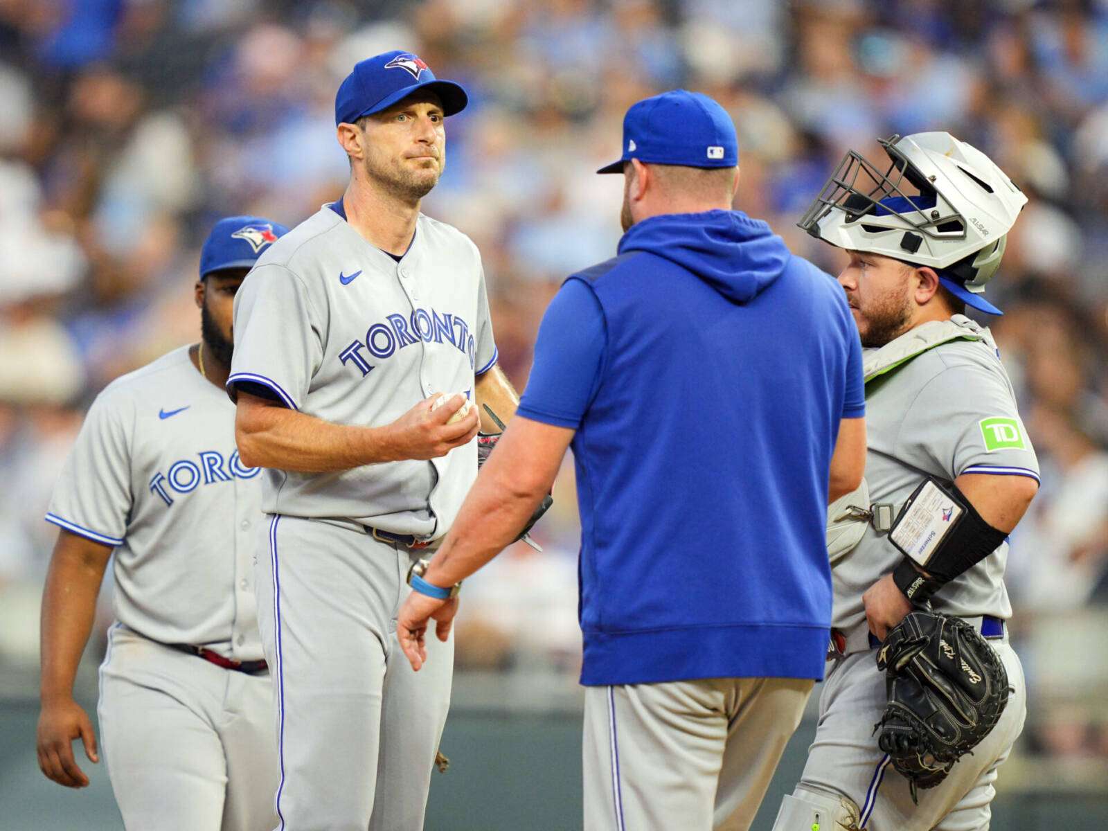 Blue Jays - Passion MLB